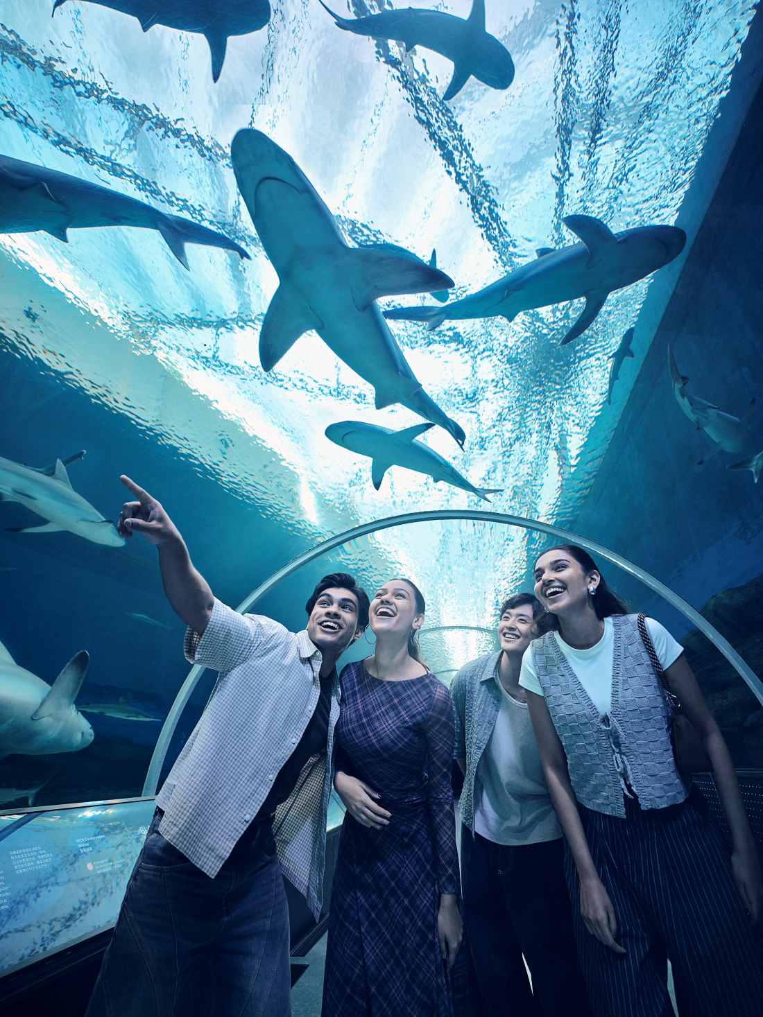 Insider Tips: Top 5 Things to Do at Singapore Oceanarium | Singapore ...